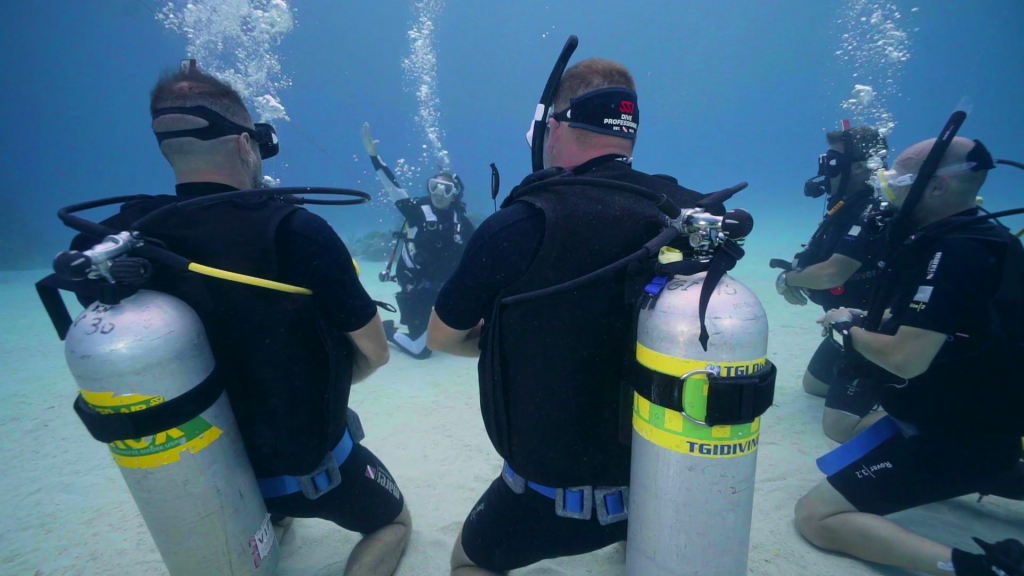 Programas profesionales - SCUBANEO Diving & Instructor Training Center